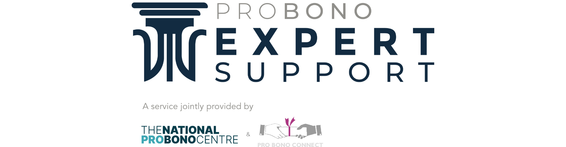 Pro Bono Expert Support Scheme - EWI Partnership
